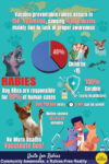 Defeating Rabies Menace: Global Efforts Triumph in Saving Lives ...