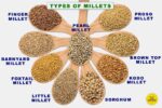 The Magic of Millets: India's Super Grain Goes Global - Trendvisionz