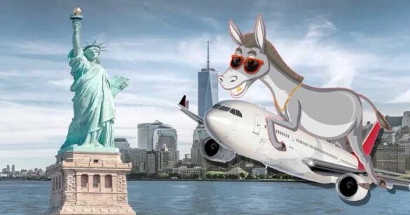 Bollywood's Dunki: The Nefarious World of Donkey Flight & Illegal ...