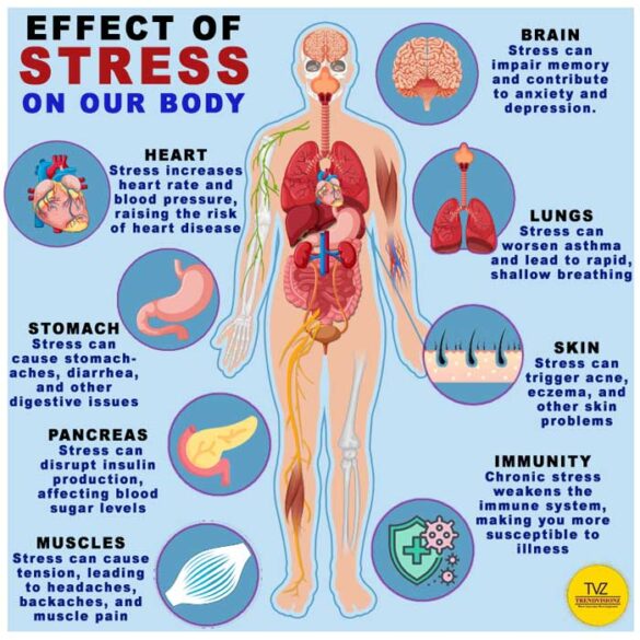 7 Proven Skills to Help You Cope with Stress Successfully - Trendvisionz