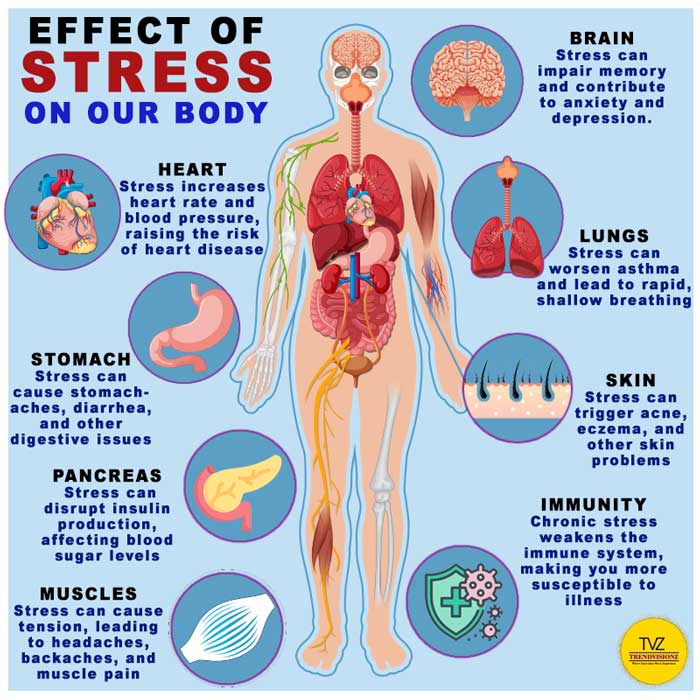 7 Proven Skills to Help You Cope with Stress Successfully - Trendvisionz