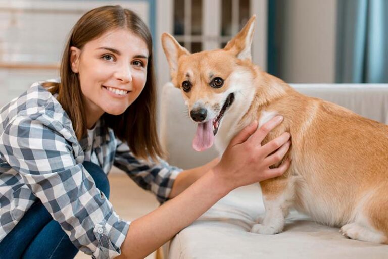 Family with Pets: Exploring the Wonderful World of Pet Ownership ...