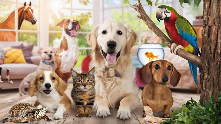 Family with Pets: Exploring the Wonderful World of Pet Ownership ...