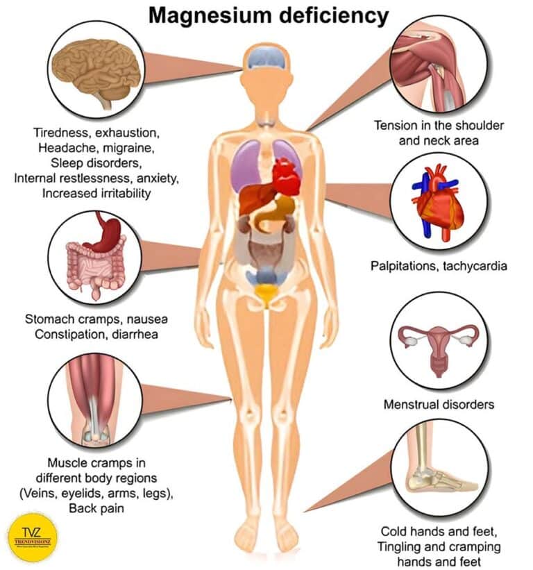 Magnesium Benefits for Women: A Lifelong Ally for Hormones, Bones, and ...